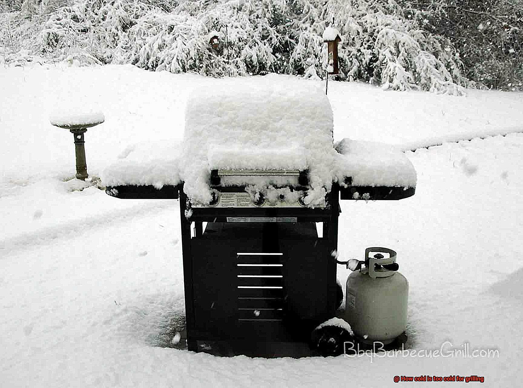 How cold is too cold for grilling? - Pastime Bar And Grill
