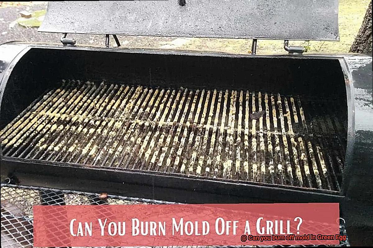 Can you burn off mold in Green Egg? - Pastime Bar And Grill