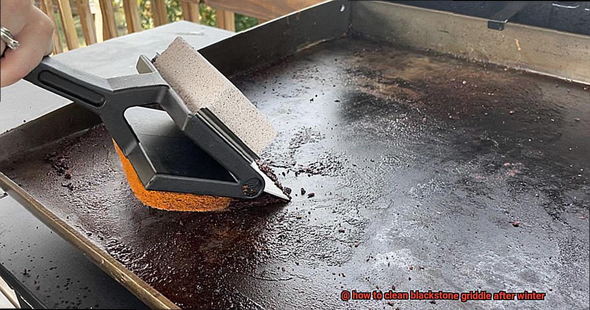 how to clean blackstone griddle after winter? - Pastime Bar And Grill