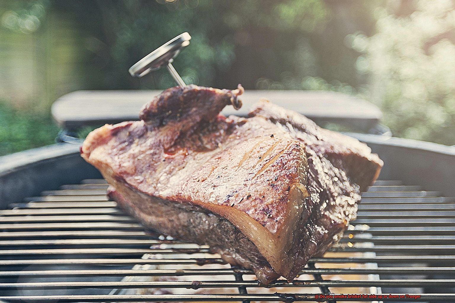 Do You Smoke Brisket Fat Side Up Or Down On Traeger Pastime Bar And